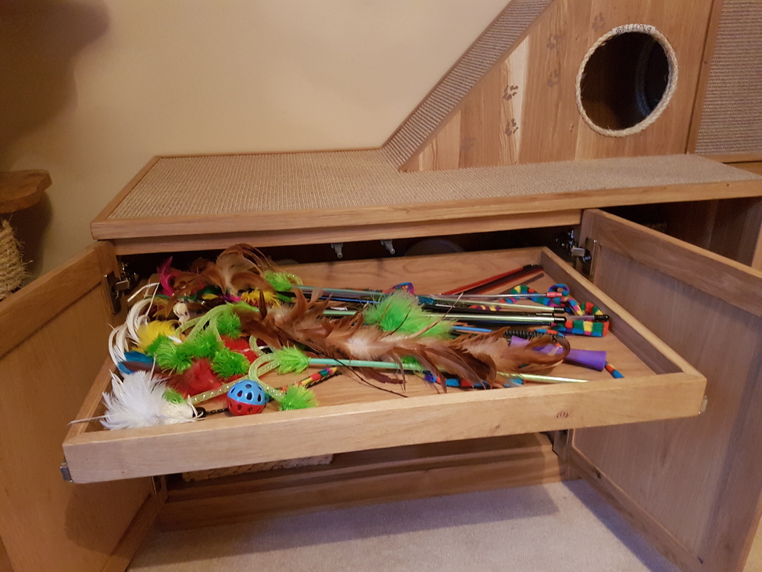 Cat Play Room for Tonkinese | Custom Cat Creations